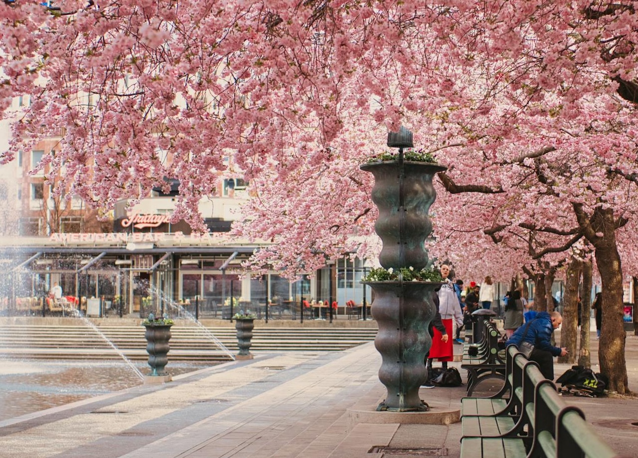 Stockholm in Spring – Blossoms, Outdoor Cafés & Travel Tips